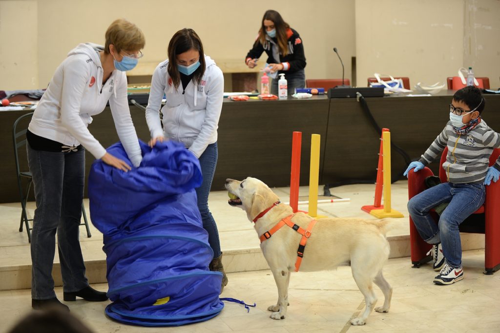 Torino: Dog Therapy nelle scuole per i bambini con disabilità - Torino