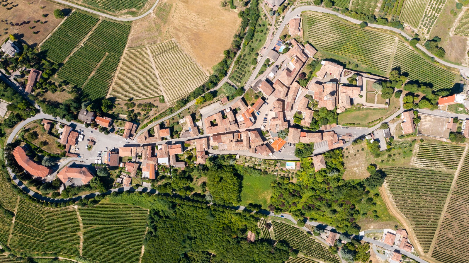 Calosso: la vita è bella - i paesi del vino - Torino