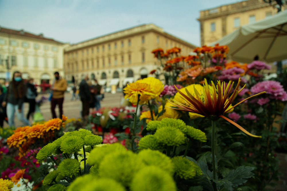 Flor22: Primavera ai Giardini Reali - Torino
